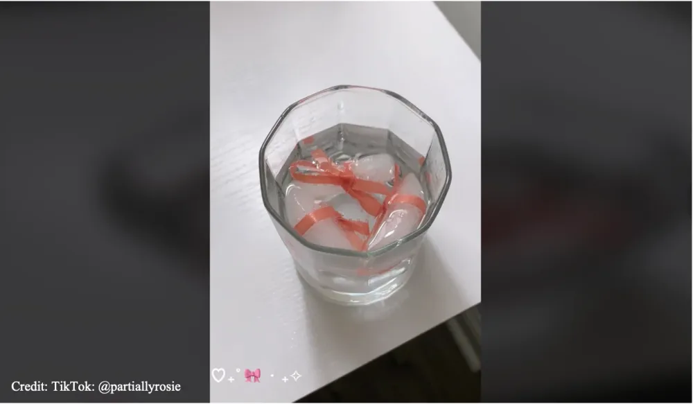 Buat Tampilan Merekmu Lebih Menarik Dengan Tren Coquette Viral